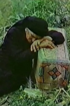 ‎Adgilis Deda (1976) directed by Goderdzi Chokheli • Reviews, film ...