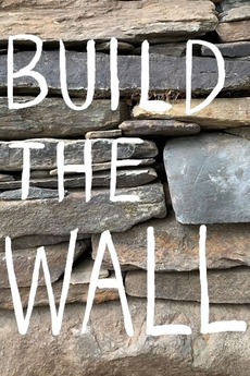 ‎Build the Wall (2020) directed by Joe Swanberg • Reviews, film + cast ...