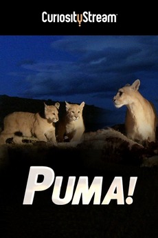 ‎Puma! (2015) directed by Uwe Müller • Film + cast • Letterboxd