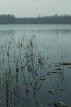 ‎Riba (2020) directed by Moira Tierney • Film + cast • Letterboxd