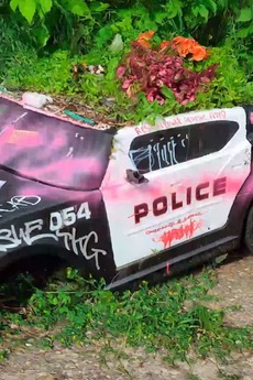 ‎Department of Injustice (2020) directed by Travis Wood • Reviews, film ...