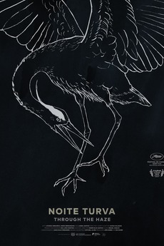 ‎Through the Haze (2020) directed by Diogo Salgado • Reviews, film + cast • Letterboxd