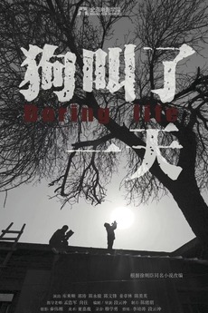‎Boring Life (2019) directed by Yunchong Duan • Reviews, film + cast ...