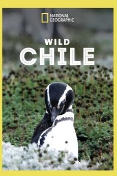 ‎Wild Chile • Film + cast • Letterboxd