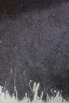 ‎SiO2 (2020) directed by Hicham Berrada • Film + cast • Letterboxd