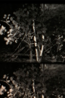 ‎Wind Above Thunder directed by Susan DeLeo • Film + cast • Letterboxd