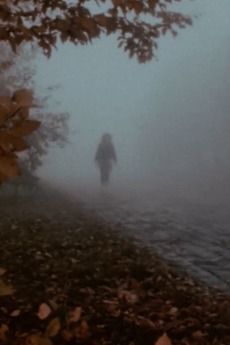 ‎Mózg (1983) directed by Roland Rowinski • Reviews, film + cast ...