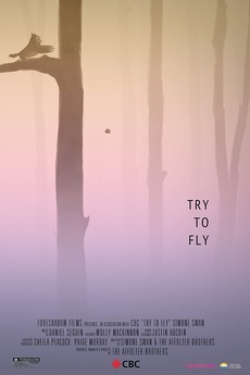 ‎Try to Fly (2020) directed by Heath Affolter, Jon Affolter et al ...