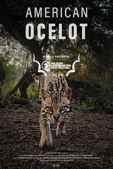 ‎American Ocelot (2021) directed by Ben Masters • Reviews, film + cast ...