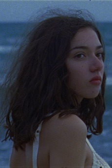 ‎Island and Mainland (2019) directed by Laurie Bost, Sébastien Savine ...