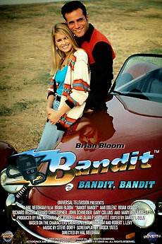 ‎Bandit: Bandit, Bandit (1994) directed by Hal Needham • Reviews, film ...