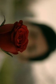 ‎Silly Talk (2015) directed by Naoki Ichio • Film + cast • Letterboxd