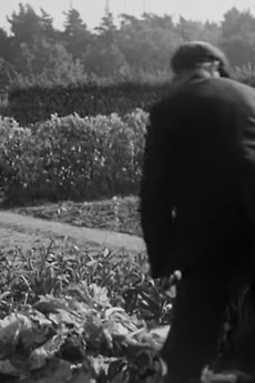 â žmaking A Compost Heap 1942 Directed By Margaret Thomson â Reviews
