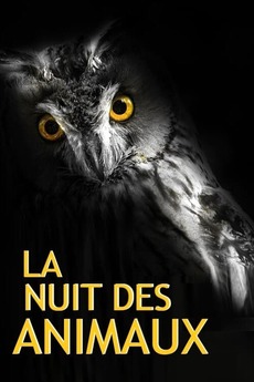 ‎La Nuit des Animaux (2017) directed by Lucas Allain, Rémi Laugier ...