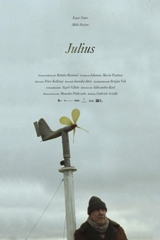 ‎Julius (2020) directed by Rebeka Rummel • Reviews, film + cast • Letterboxd