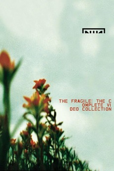 ‎Nine Inch Nails: The Fragile Complete Video Collection (2013 ...