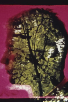 ‎X-Bilder (1968) directed by Kurt Kühn • Film + cast • Letterboxd