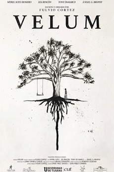 ‎Velum (2020) directed by Fulvio Cortez • Reviews, film + cast • Letterboxd
