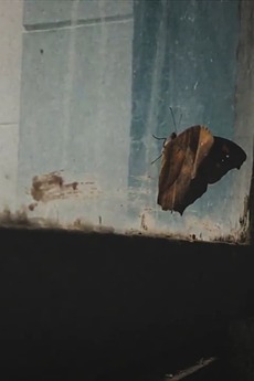 ‎Memoir (2021) directed by Debjit Bagchi • Film + cast • Letterboxd