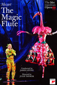 ‎Wolfgang Amadeus Mozart - The Magic Flute (Metropolitan Opera, New ...