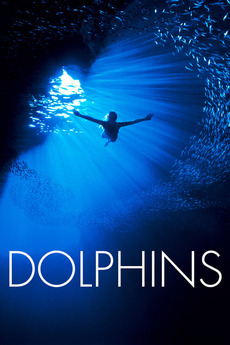 ‎Dolphins (1999) directed by Farhad Yawari • Reviews, film + cast ...