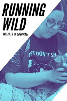 ‎Running Wild: The Cats of Cornwall (2020) directed by Aaron Hancox ...