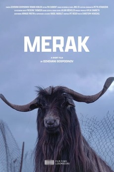 ‎Merak (2020) directed by Dzhovani Gospodinov • Reviews, film + cast ...
