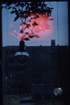 ‎ARIES (2020) directed by Elian Mikkola • Reviews, film + cast • Letterboxd