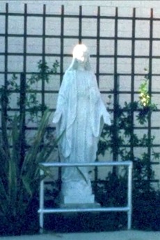 ‎Mrs. Deborah Corde (2021) directed by Joële Walinga • Reviews, film ...