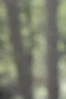 ‎Learning to Eat Soup (2020) directed by Matthew Lancit • Film + cast ...