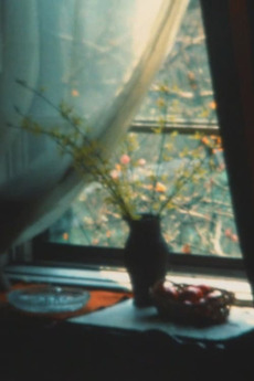 ‎Super 8 Diary - 1985 (1985) directed by Robert Huot • Film + cast • Letterboxd