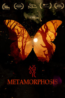 ‎Metamorphosis (2020) directed by Xi Wang • Reviews, film + cast ...