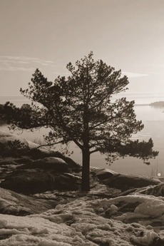 ‎Winter Isolation (2021) directed by Faye Almroth • Reviews, film ...