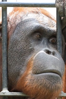 ‎On Air (2020) directed by Daniel Ecker • Film + cast • Letterboxd