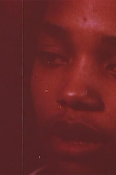 ‎Singing Biscotts (2006) directed by Luther Price • Reviews, film ...