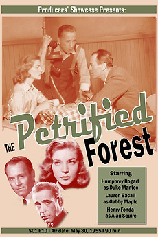 ‎The Petrified Forest (1955) directed by Delbert Mann • Reviews, film ...