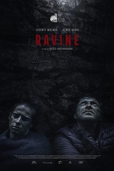 ‎Ravine (2021) directed by Balázs Krasznahorkai • Reviews, film + cast ...