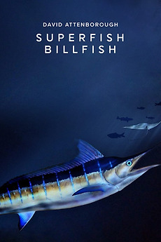 ‎Superfish (2008) directed by Rick Rosenthal • Reviews, film + cast ...