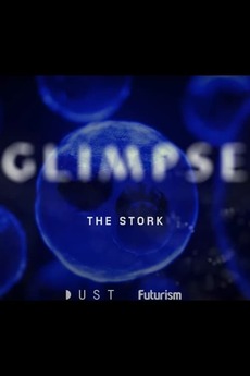 ‎Glimpse Ep 2: The Stork (2018) directed by Samgoma Edwards, Samtubia ...