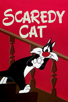 scardy cat