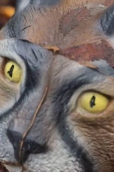 ‎Ellipsis (2021) directed by Marjo Levlin • Reviews, film + cast ...