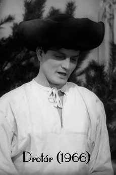 ‎Drotár (1966) directed by Karol L. Zachar • Film + cast • Letterboxd