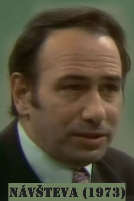 ‎Návšteva (1973) directed by Jozef Pálka • Film + cast • Letterboxd