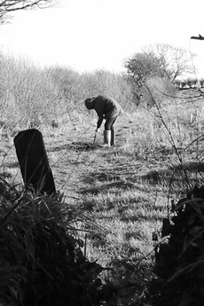 ‎The Dig (2020) directed by Sam Storey • Reviews, film + cast • Letterboxd