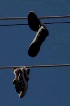 ‎3494 Houses + 1 Fence (2006) directed by Mireille Astore, Fabian ...