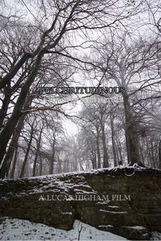 ‎Pulchritudinous (2021) directed by Lucas Higham • Reviews, film + cast ...