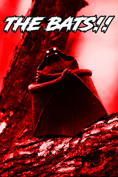 ‎The Bats!! (2021) directed by Bridget Tooley, Beckett Tooley • Reviews ...