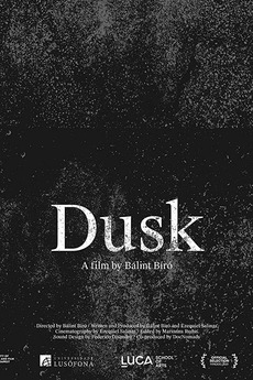 ‎Dusk (2020) directed by Bálint Bíró • Reviews, film + cast • Letterboxd