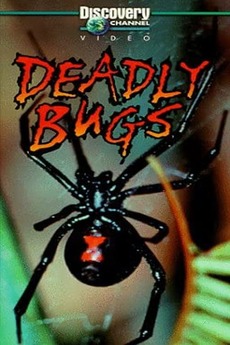 ‎Deadly Bugs (1997) • Reviews, film + cast • Letterboxd