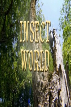 ‎Insect World (2017) • Reviews, film + cast • Letterboxd